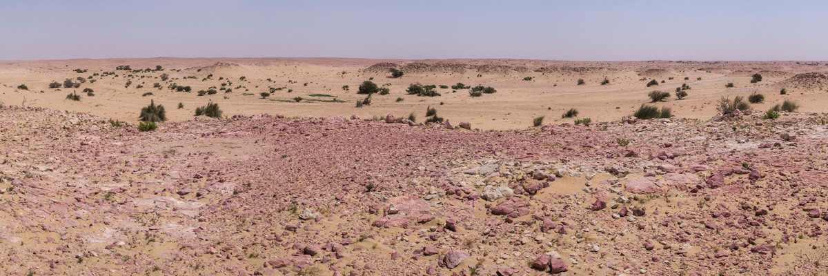 Qatar e-Nature – Ecosystems – Rocky Desert or Hamada